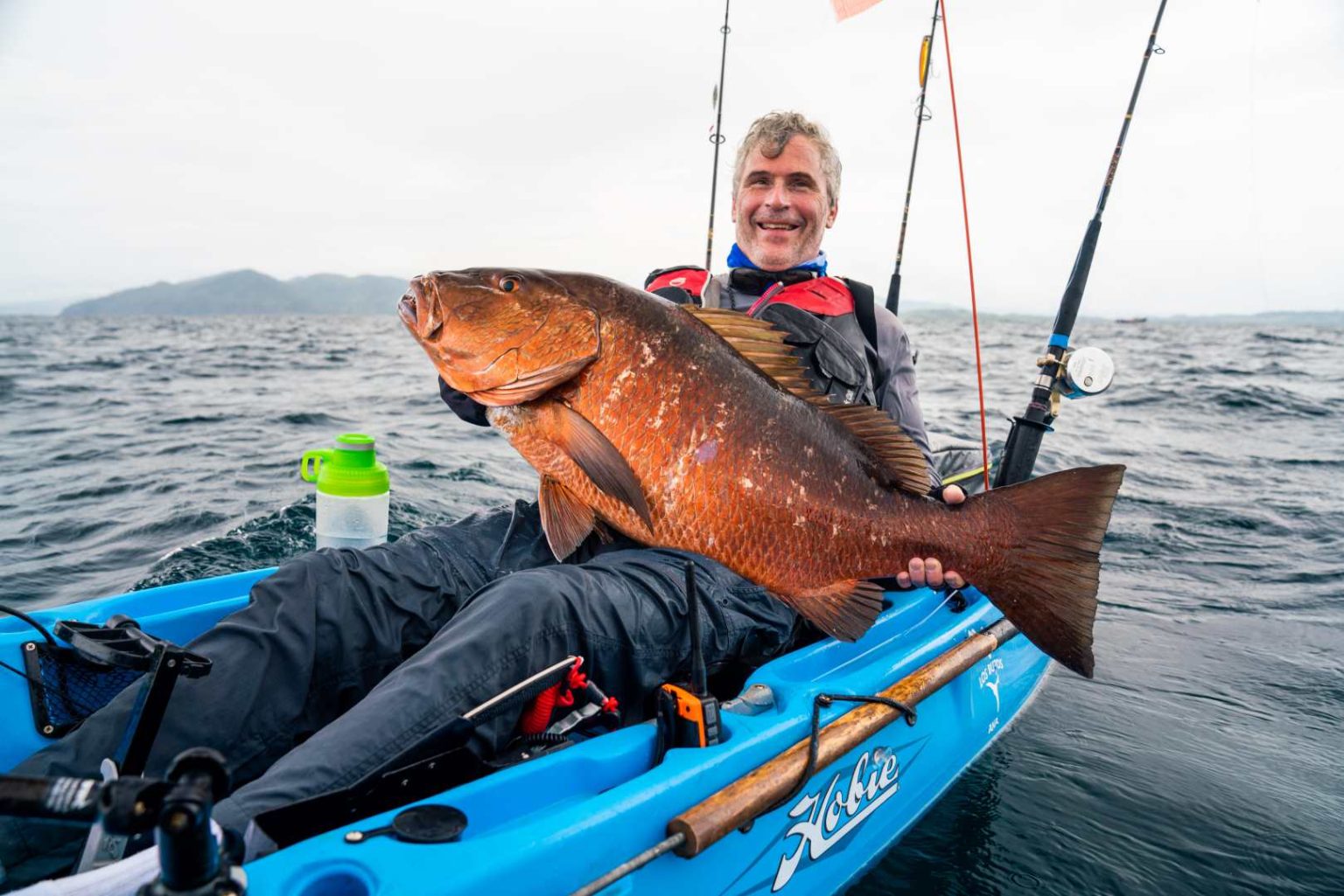 Species - Los Buzos: Offshore Fishing & Adventure Resort