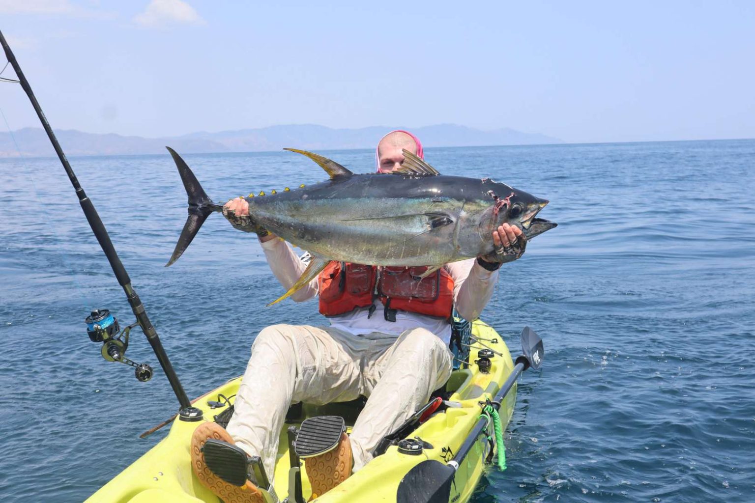 Species - Los Buzos: Offshore Fishing & Adventure Resort