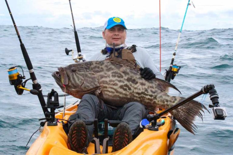 Species - Los Buzos: Offshore Fishing & Adventure Resort