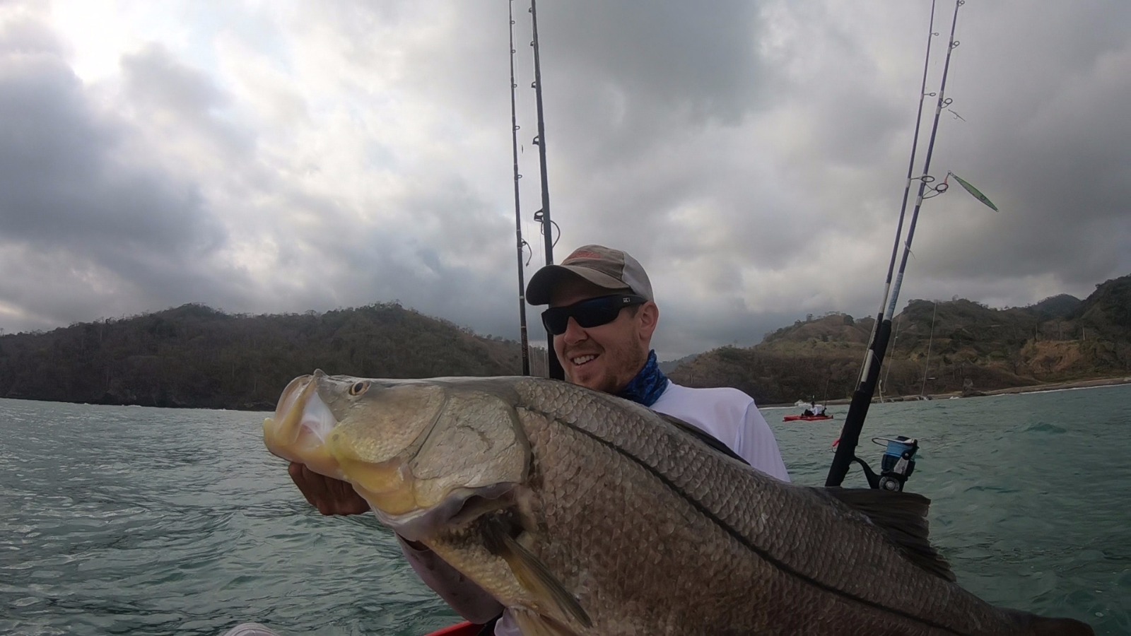 Species - Los Buzos: Offshore Fishing & Adventure Resort